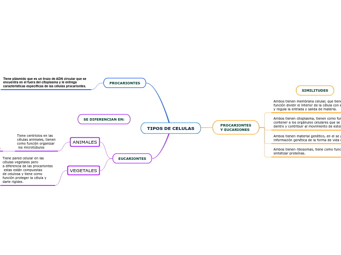 TIPOS DE CELULAS - Mind Map